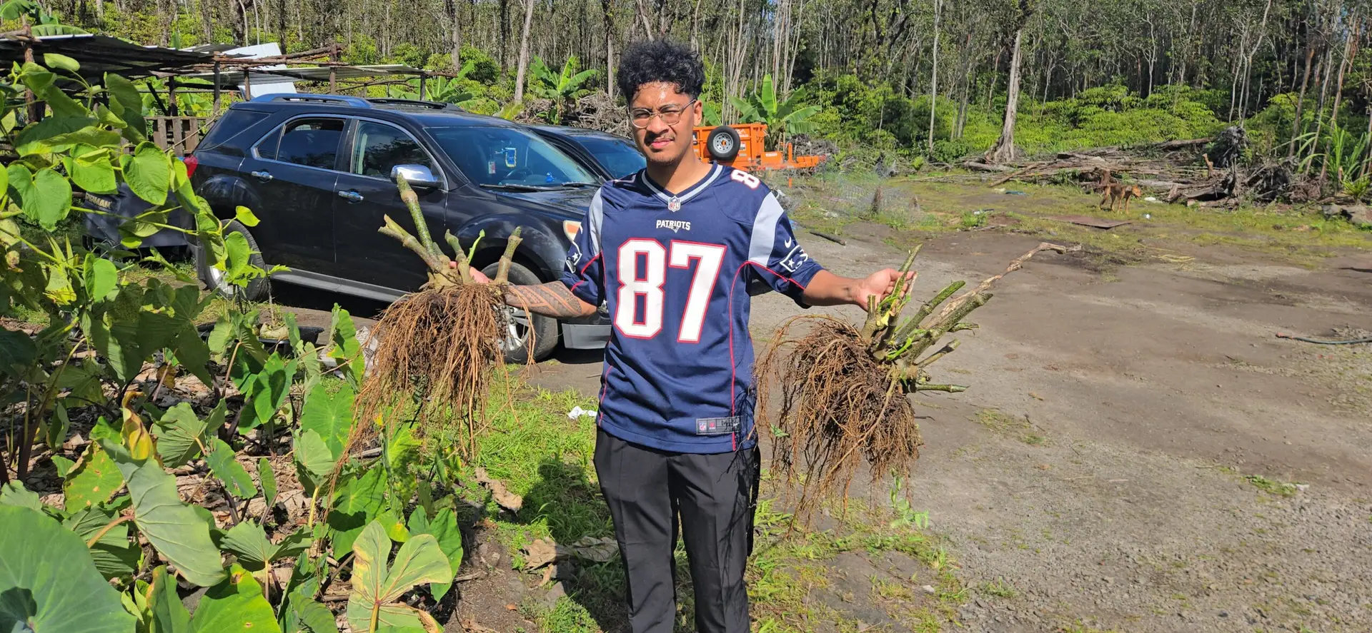 the First Harvest - 1 Year Old Sakau - ifagalz